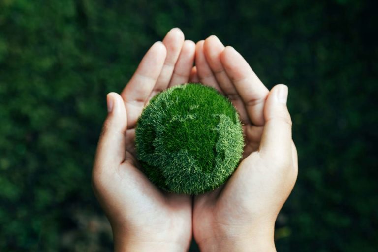 Explore innovative CCS technologies